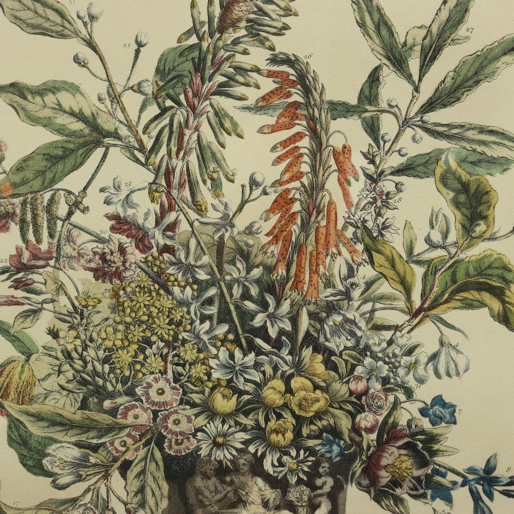 1730 Robert Furber - January Floral Calendar Hand Colored Etching by H ...
