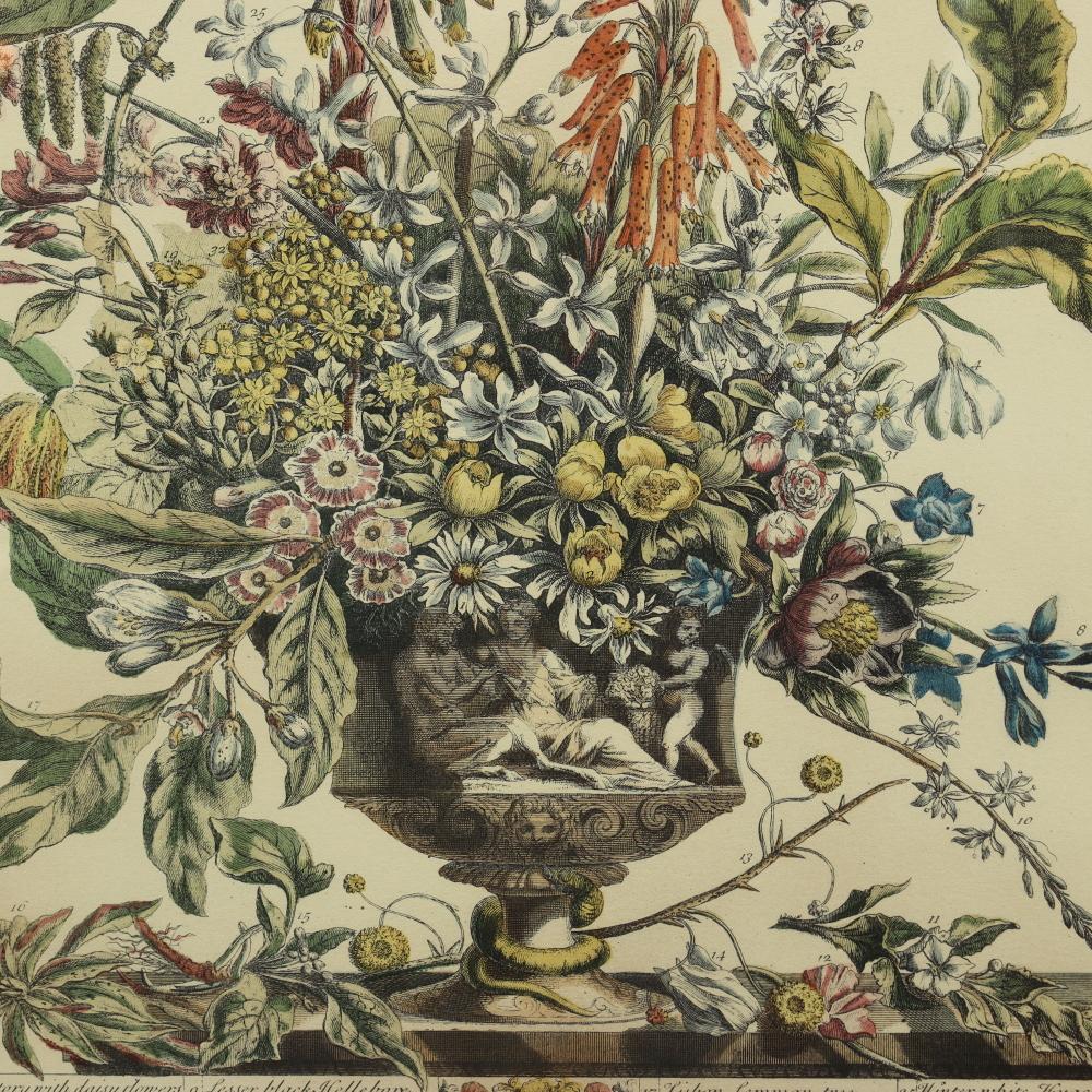 1730 Robert Furber - January Floral Calendar Hand Colored Etching by H ...