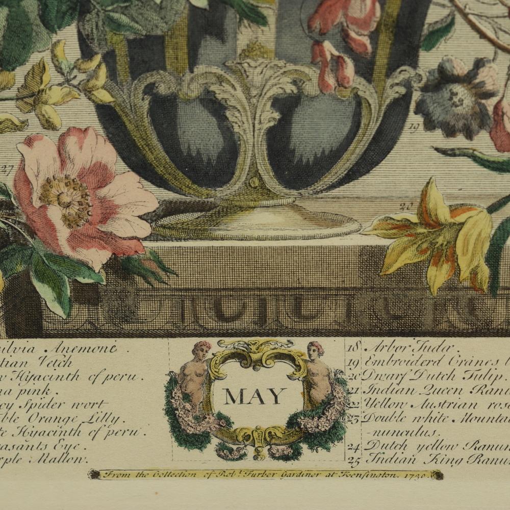 1730 Robert Furber May Floral Calendar Hand Colored Etching by H ...