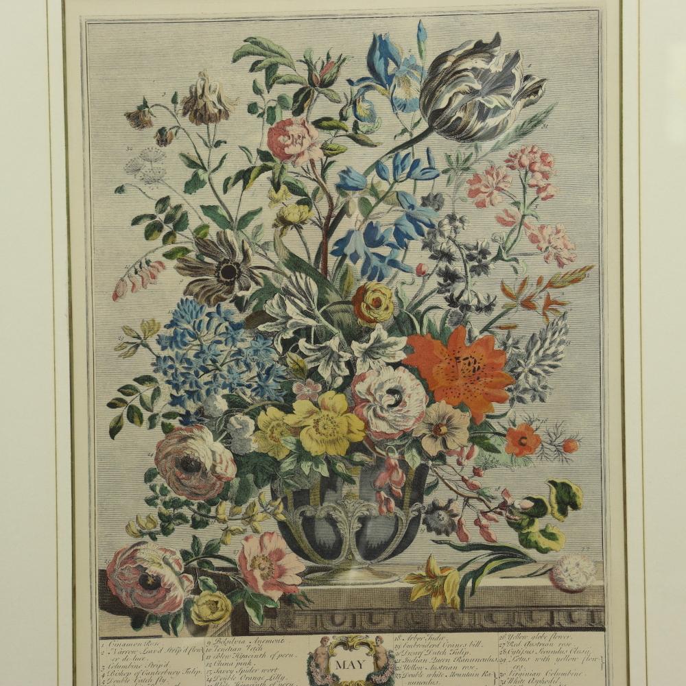 1730 Robert Furber May Floral Calendar Hand Colored Etching by H ...