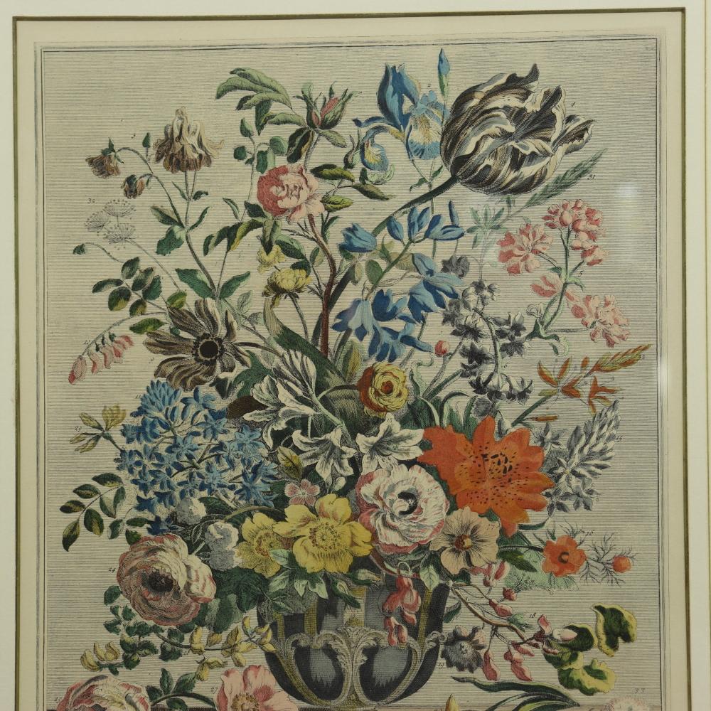 1730 Robert Furber May Floral Calendar Hand Colored Etching by H ...