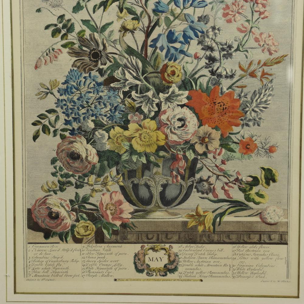 1730 Robert Furber May Floral Calendar Hand Colored Etching by H ...