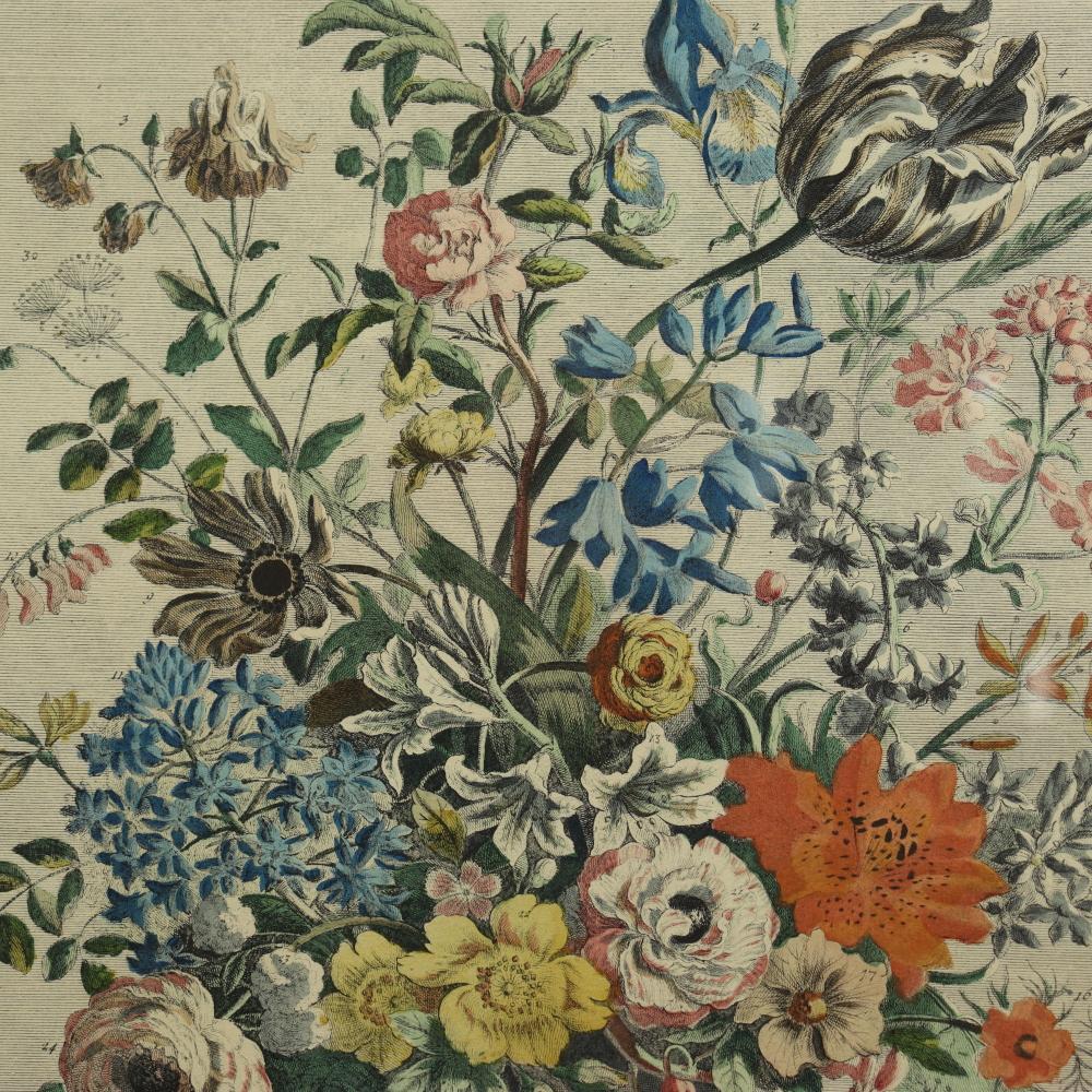 1730 Robert Furber May Floral Calendar Hand Colored Etching by H ...