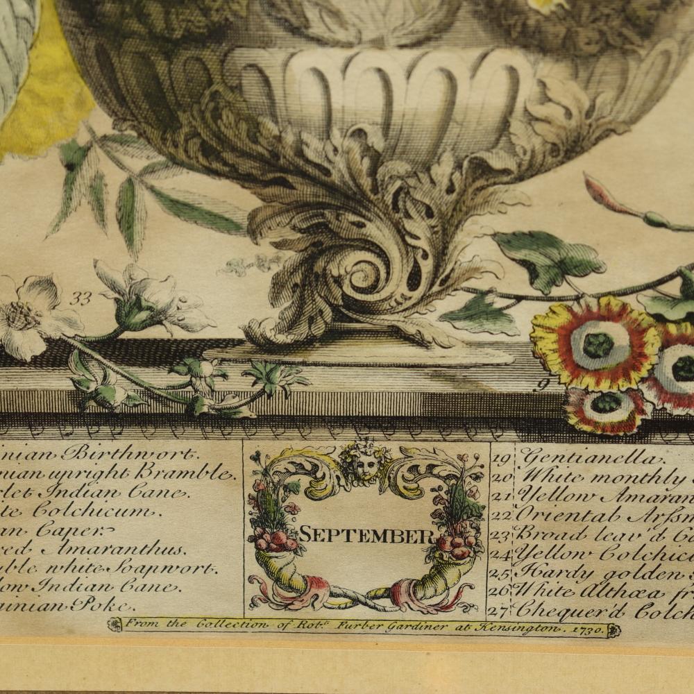 1730 Robert Furber September Floral Calendar Hand Colored Etching by H ...