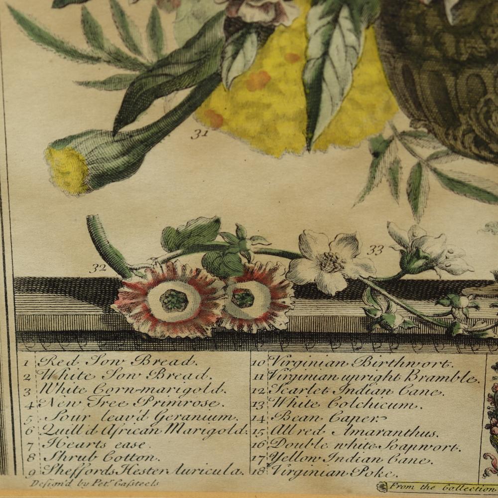 1730 Robert Furber September Floral Calendar Hand Colored Etching by H ...