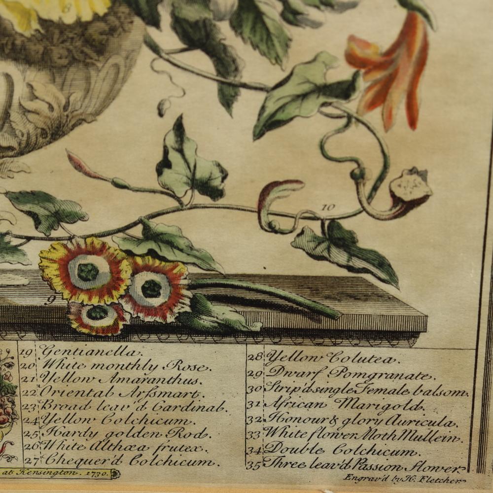1730 Robert Furber September Floral Calendar Hand Colored Etching by H ...