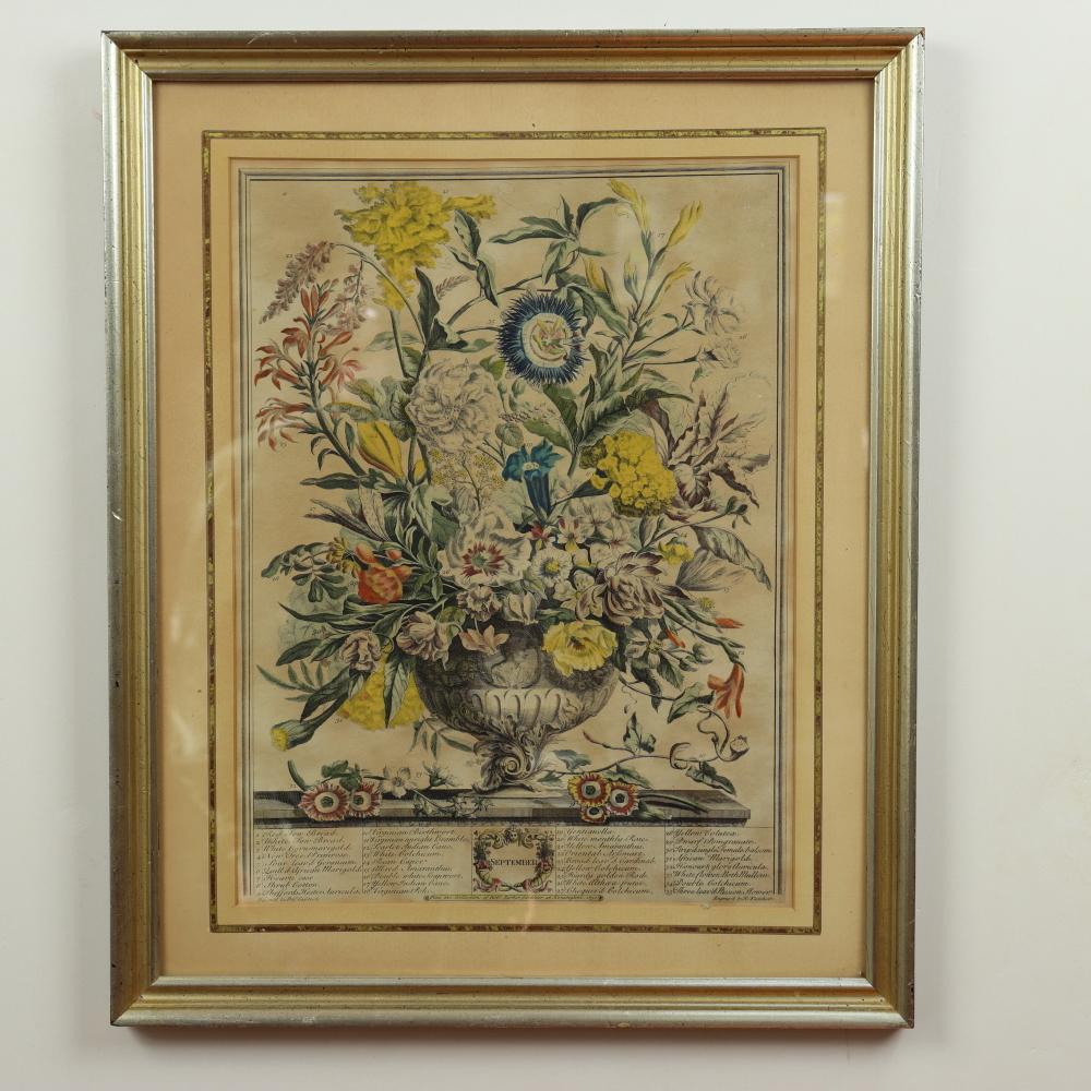1730 Robert Furber September Floral Calendar Hand Colored Etching by H ...