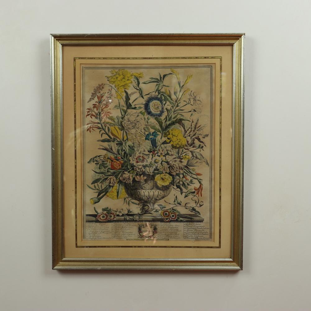 1730 Robert Furber September Floral Calendar Hand Colored Etching by H ...