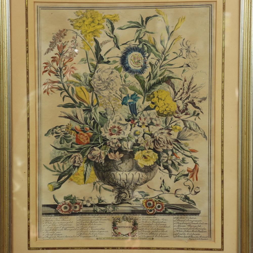 1730 Robert Furber September Floral Calendar Hand Colored Etching by H ...