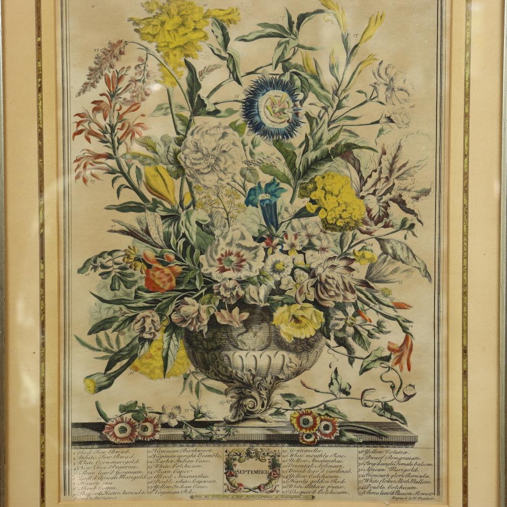 1730 Robert Furber September Floral Calendar Hand Colored Etching by H ...