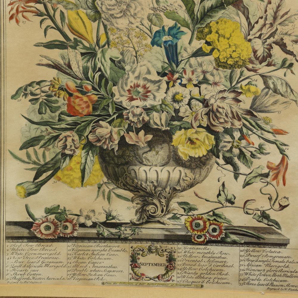 1730 Robert Furber September Floral Calendar Hand Colored Etching by H ...
