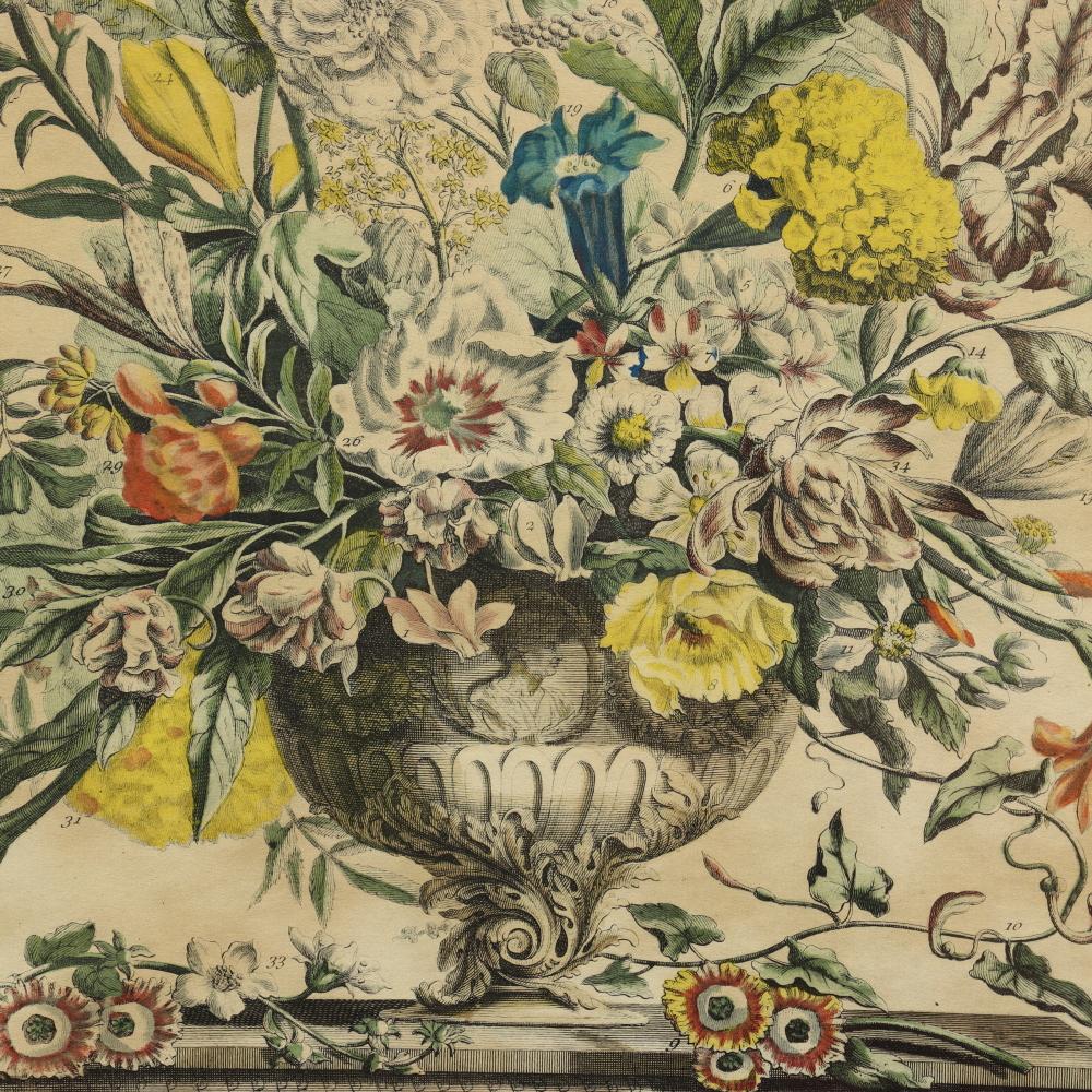 1730 Robert Furber September Floral Calendar Hand Colored Etching by H ...