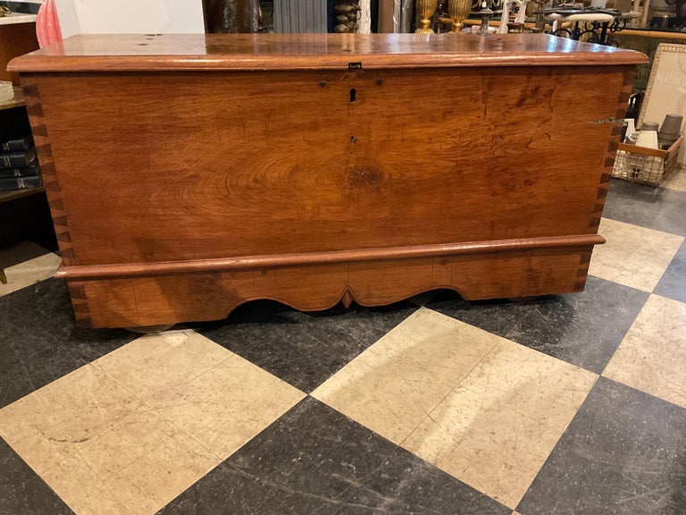 1780s Large European Wood Trunk For Sale at 1stDibs