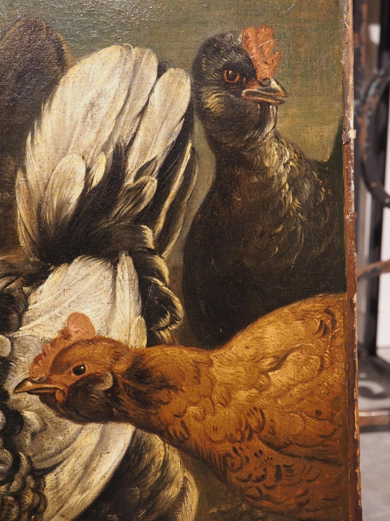 17th C. Dutch Painting of a Flock of Chickens, Attrib. to Melchior ...