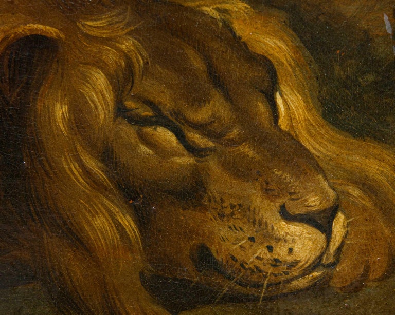 17th Century Daniel in the Lions' Den Painting Oil on Panel Rubensian ...