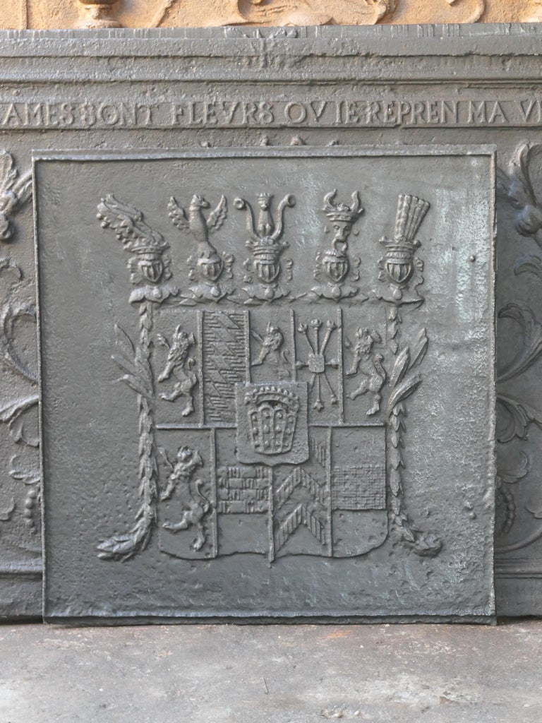 17th Century, German Louis XIV Coat of Arms Fireback For Sale at 1stDibs