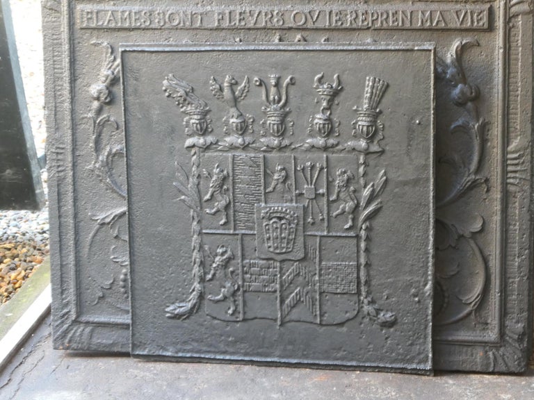 17th Century, German Louis XIV Coat of Arms Fireback For Sale at 1stDibs