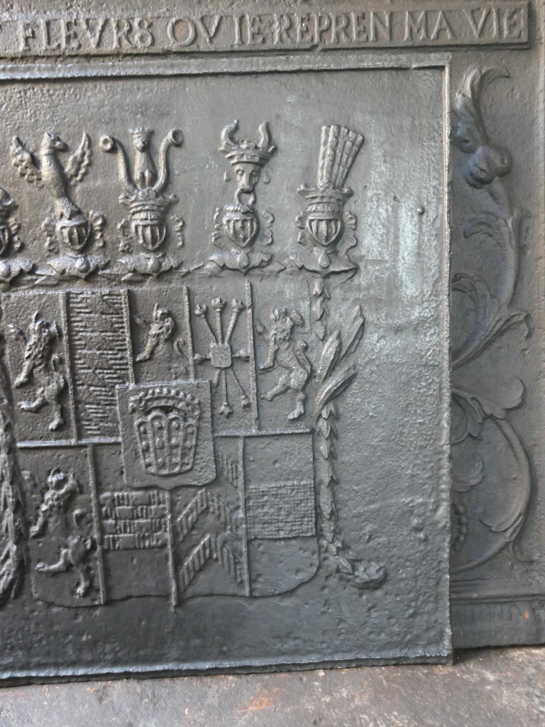 17th Century, German Louis XIV Coat of Arms Fireback For Sale at 1stDibs