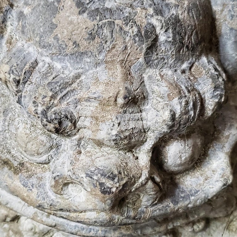17th Century Ming Dynasty Carved Stone Barrel #01 For Sale at 1stDibs