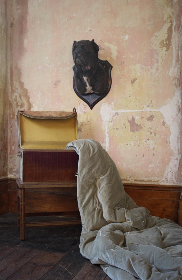 17th Century Steel Hangman's Executioners Mask Macabre Curio Memento ...