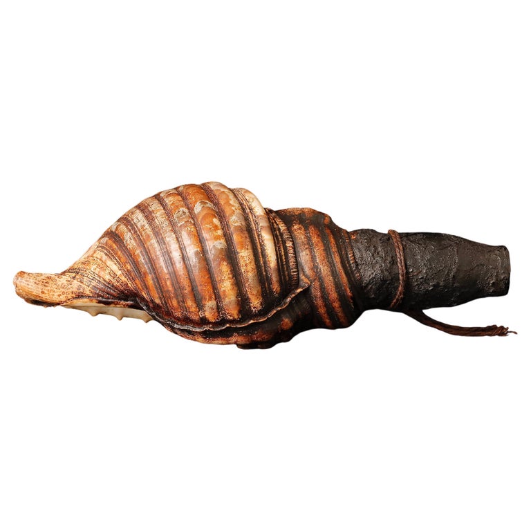 18th-19th Century Samurai Horagai Conch Shell Trumpet im Angebot bei ...