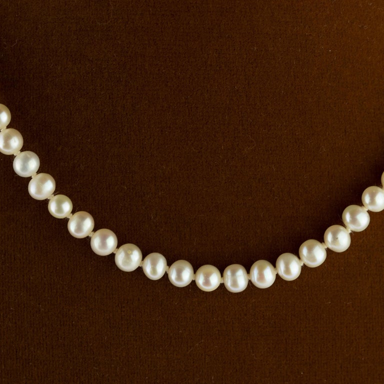 18 Karat Yellow Gold Lobster Claw Closure Freshwater Pearl Choker ...