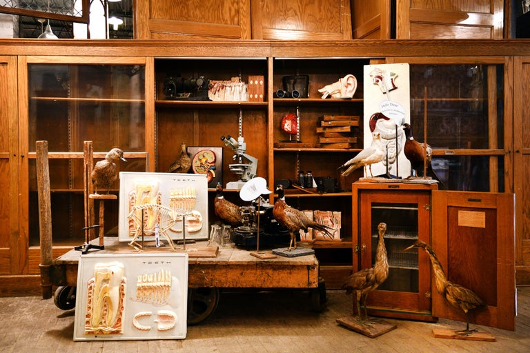 Oak Classroom Cabinet For Sale at 1stDibs