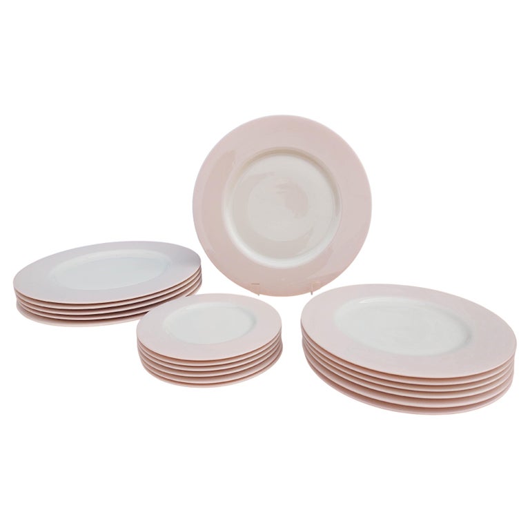 18 Piece Vintage Pink and White Porcelain Dinnerware Plates Set, Set ...