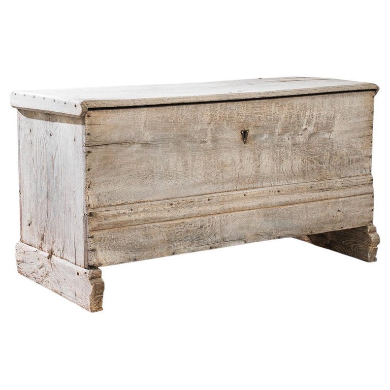 1800s German Oak Trunk at 1stDibs | german trunk