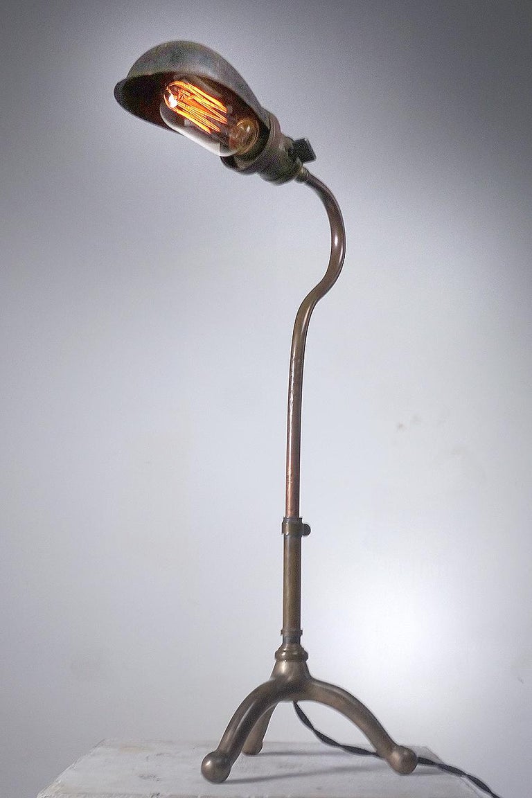 1800s Original Tripod Base Faries Desk Lamp at 1stDibs