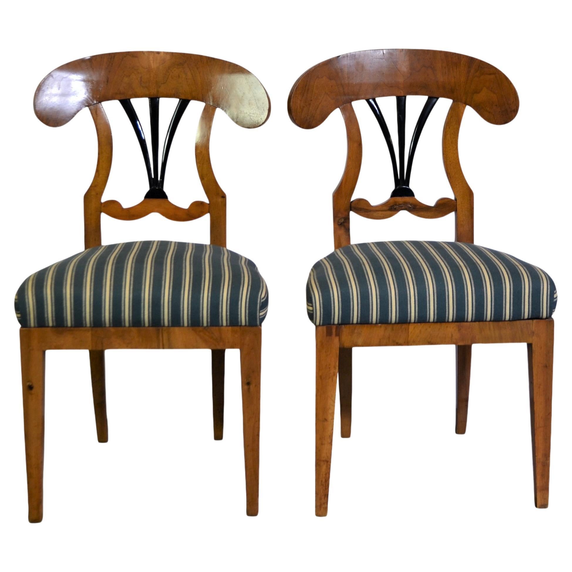 Suite of Biedermeier Chairs For Sale at 1stDibs