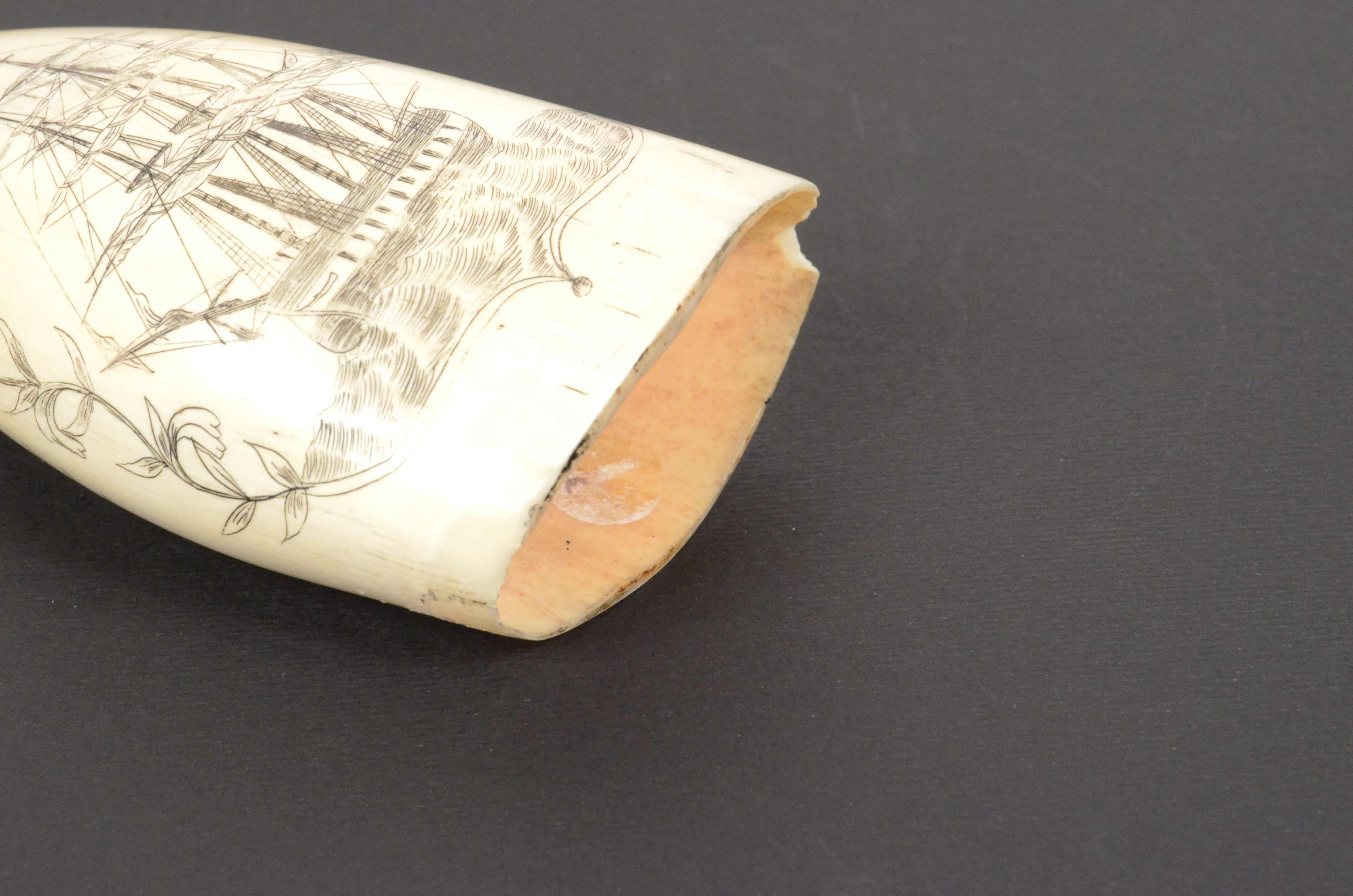 1835s Scrimshaw Vertically Engraved Whale Tooth Antique Nautical ...