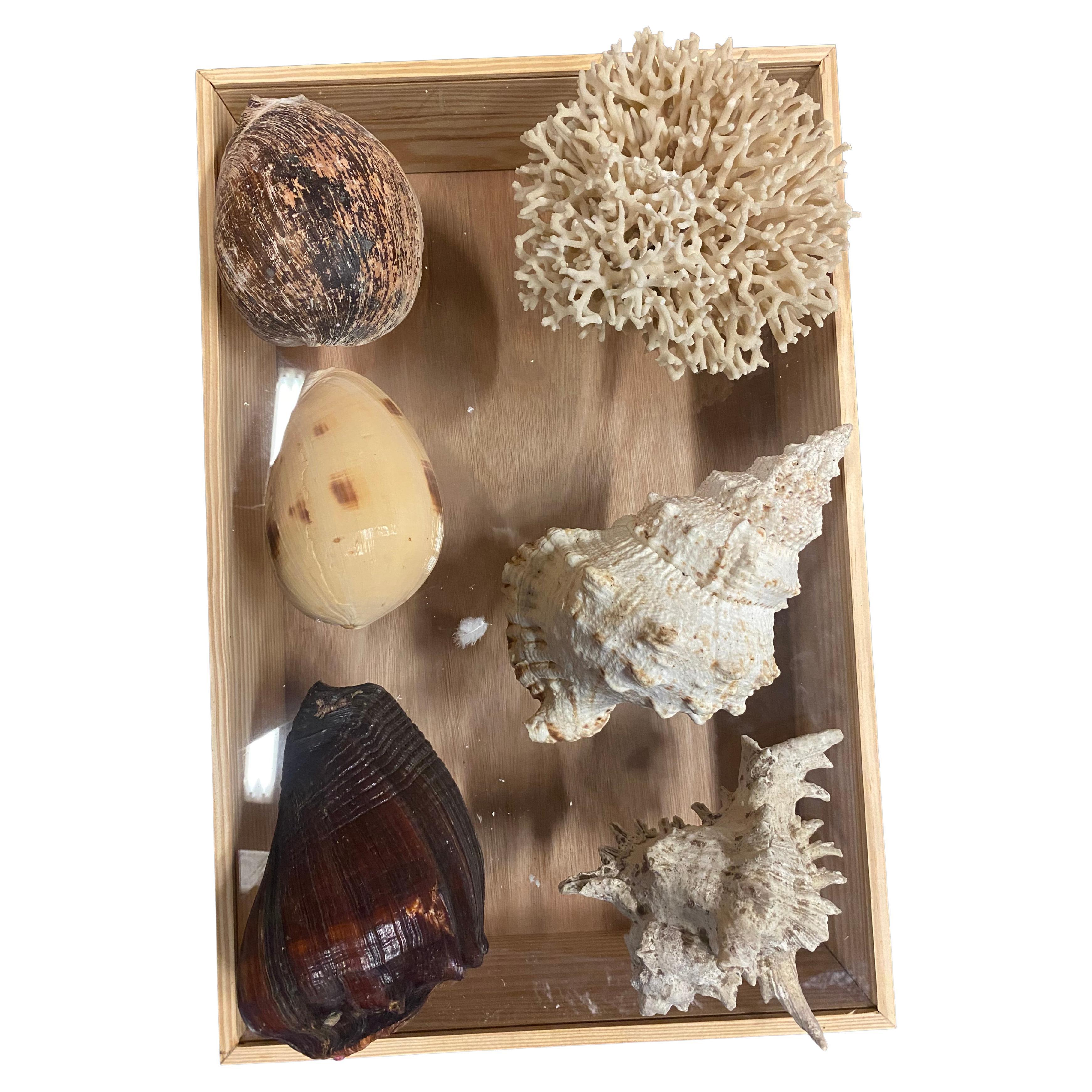 Shell Furniture - 2,858 For Sale at 1stDibs | seashell furniture for ...