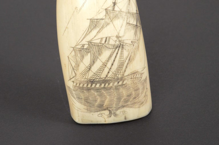 1856s Vertical Engraved Scrimshaw of a Whale Tooth Antique Nautical ...