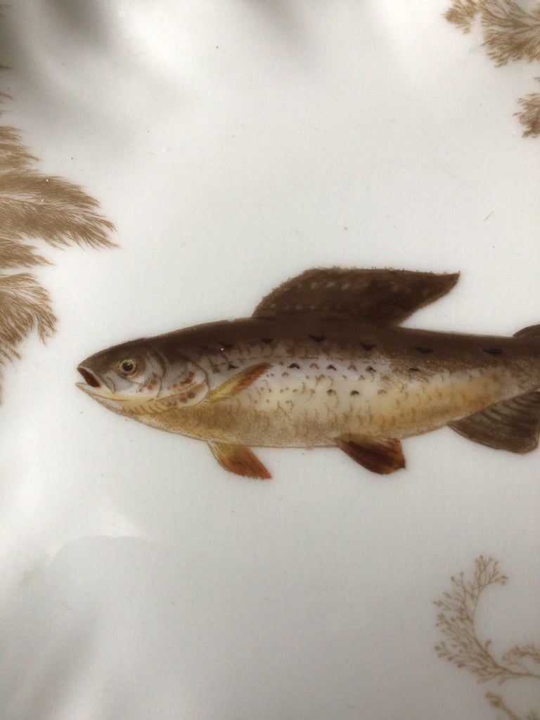 1860s Davis Collamore Fish Platter And 12 Plates For Sale at 1stDibs