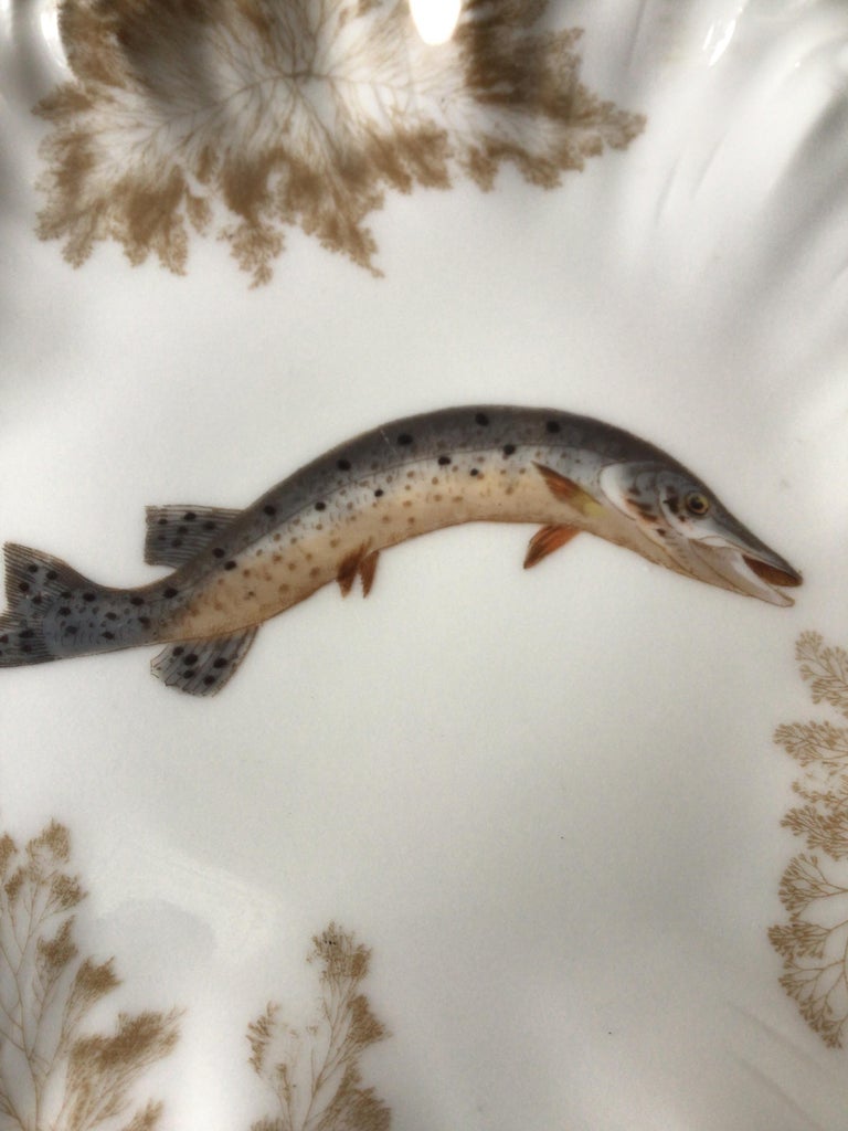 1860s Davis Collamore Fish Platter And 12 Plates For Sale at 1stDibs