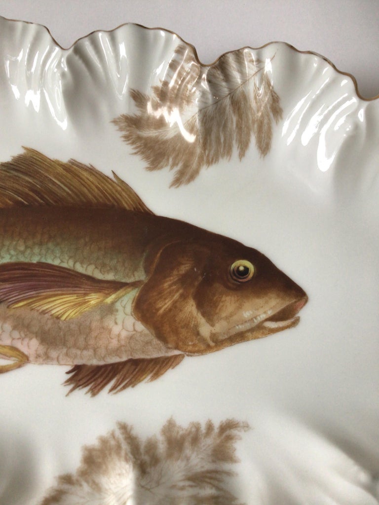 1860s Davis Collamore Fish Platter And 12 Plates For Sale at 1stDibs