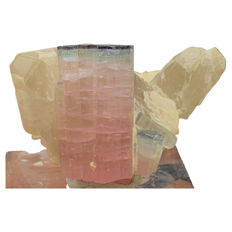 187.25 Carat Light Pink Tourmaline Specimen Elongated on Quartz with ...
