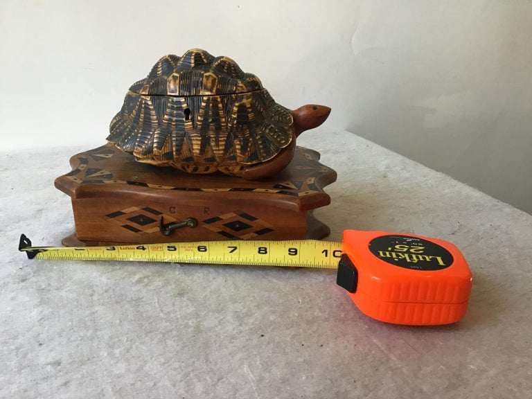 1880s English Carved Wood Turtle Box at 1stDibs