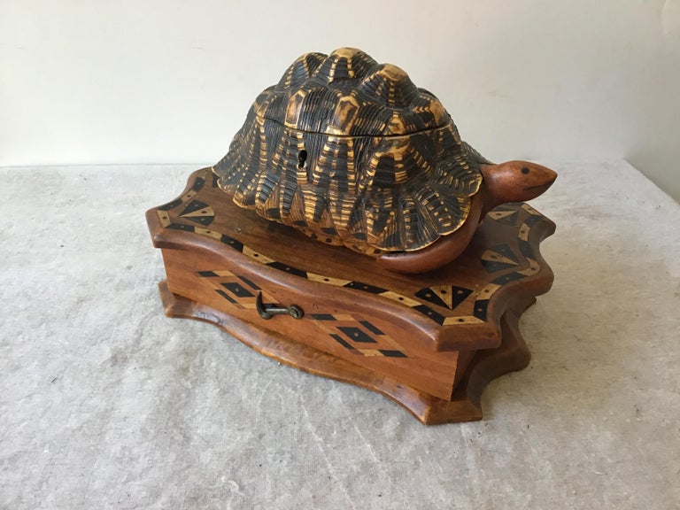 1880s English Carved Wood Turtle Box at 1stDibs