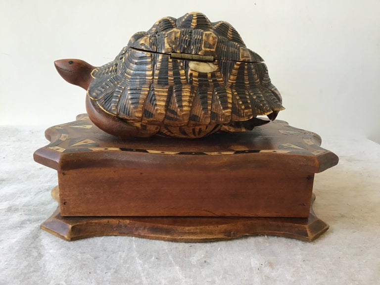 1880s English Carved Wood Turtle Box at 1stDibs