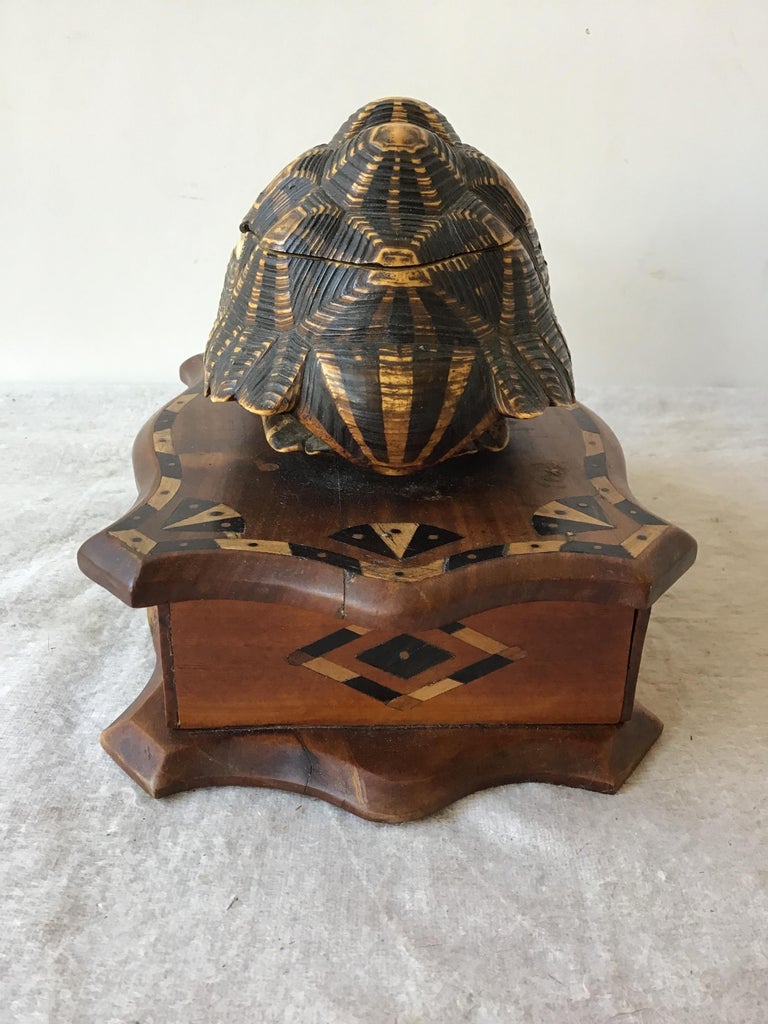 1880s English Carved Wood Turtle Box at 1stDibs