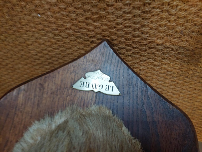 1896 Taxidermy 10 Point Stags Head For Sale at 1stDibs