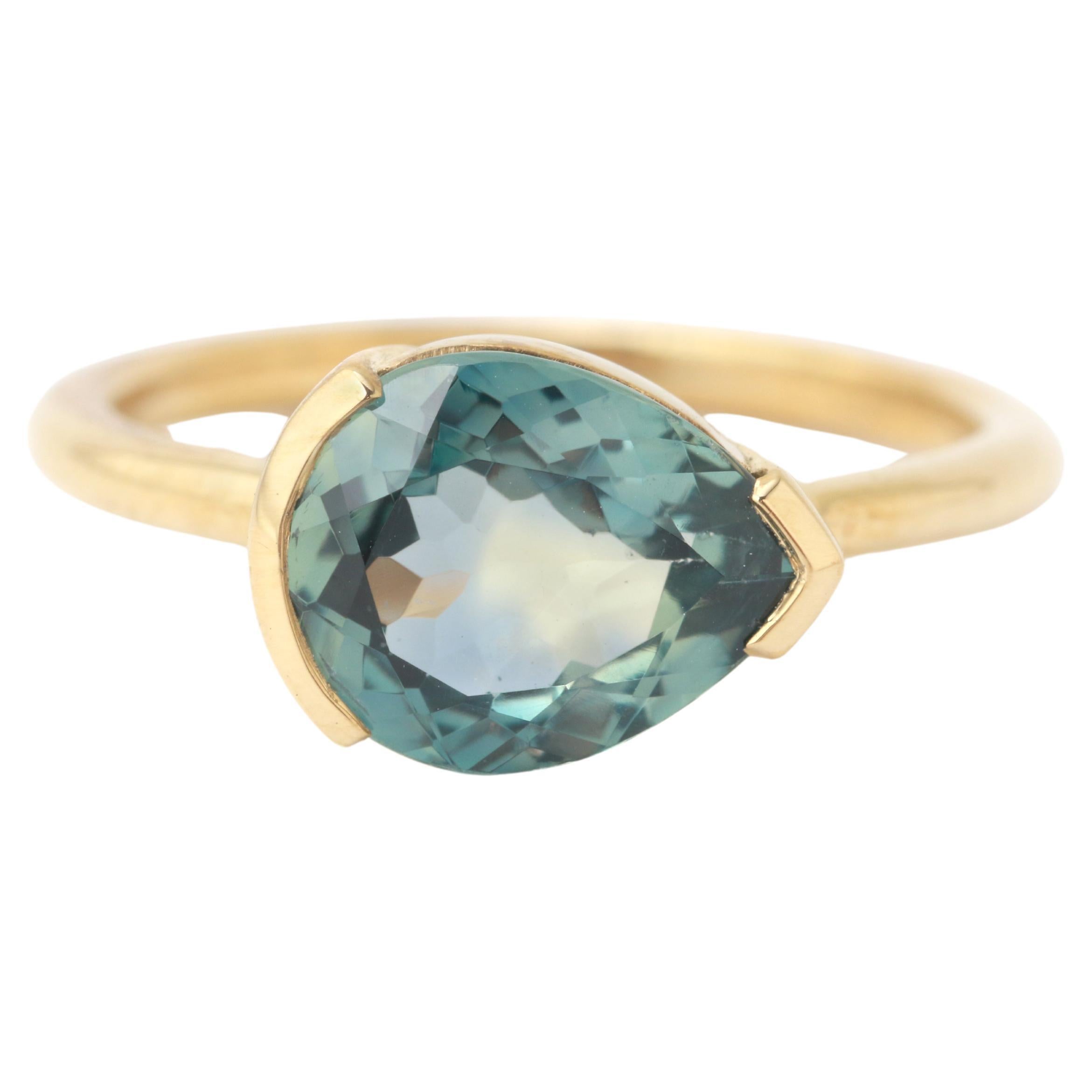 18k Yellow Gold Montana Sapphire Armored Ring For Sale at 1stDibs