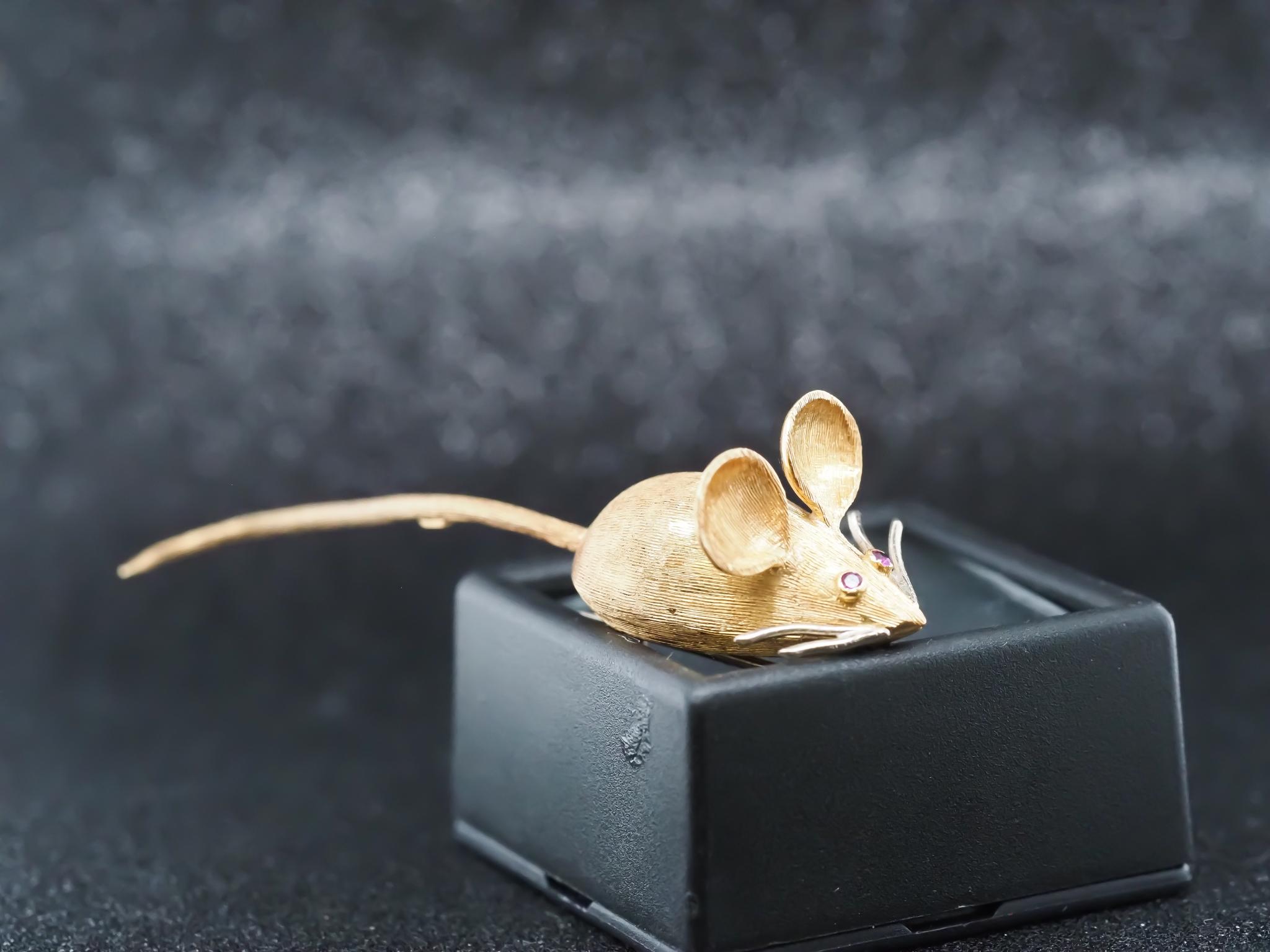 18K Yellow Gold Mouse Ruby Eyes with Long Tail Brooch Pin For Sale at ...