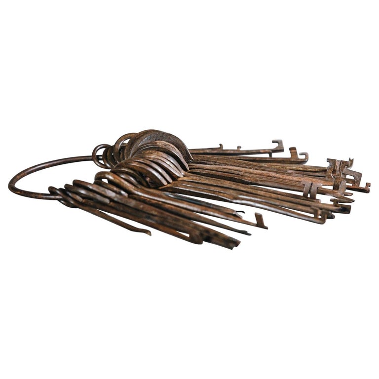 18th and 19th Century Lock Pickers Skeleton Keys at 1stDibs