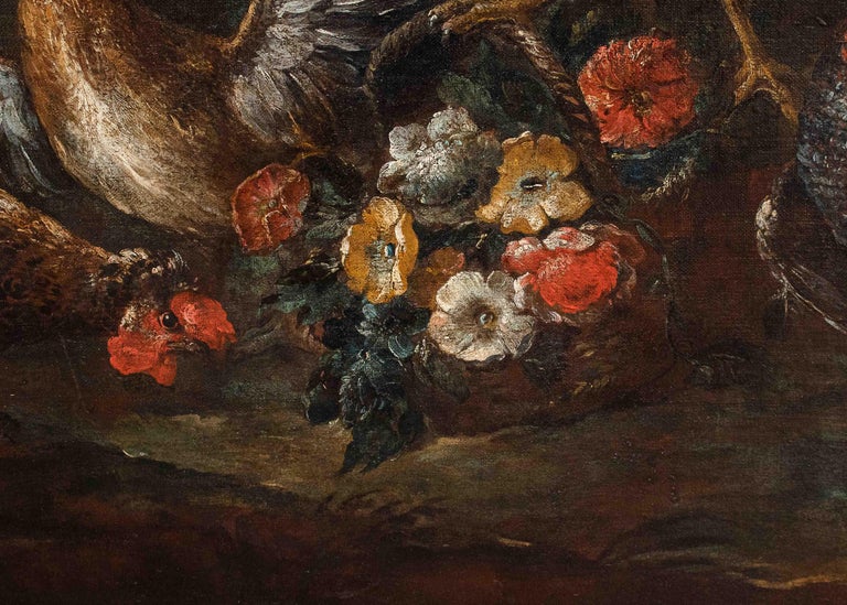 18th Century Animals Painting Oil on Canvas by Crivellone For Sale at ...