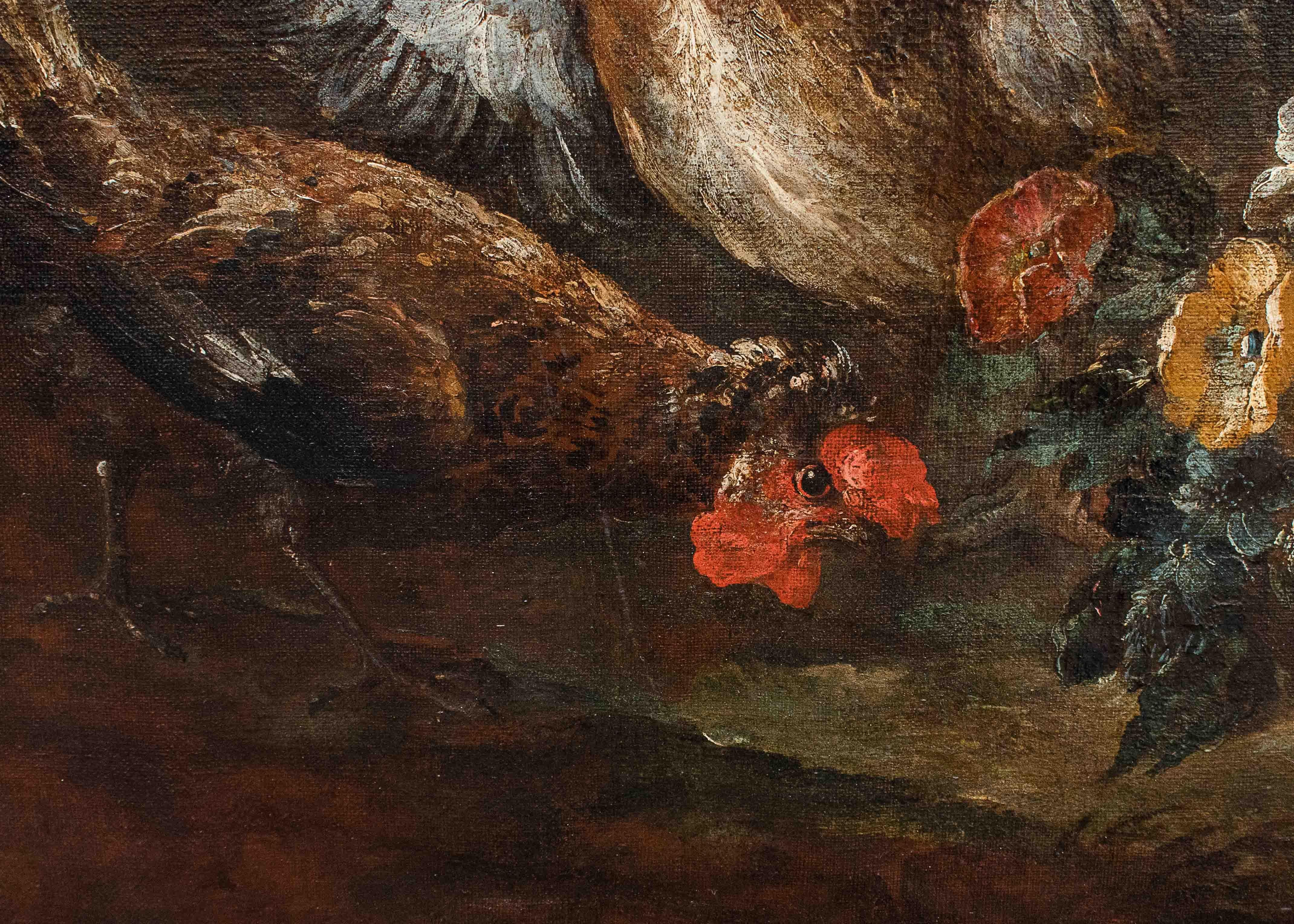 18th Century Animals Painting Oil on Canvas by Crivellone For Sale at ...