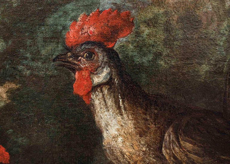 18th Century Animals Painting Oil on Canvas by Crivellone For Sale at ...