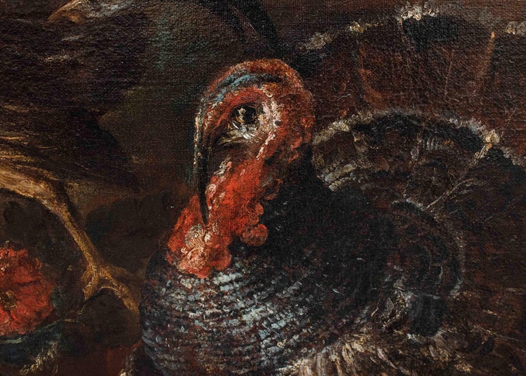 18th Century Animals Painting Oil on Canvas by Crivellone For Sale at ...
